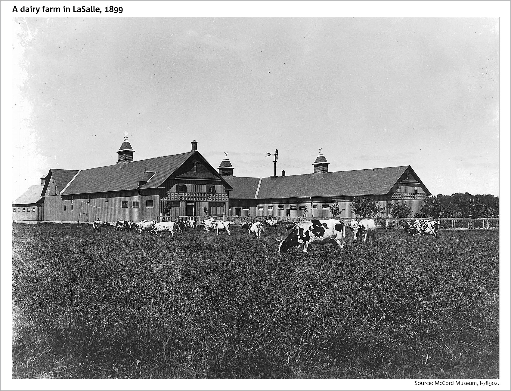 Interactive summary for Chapter 1