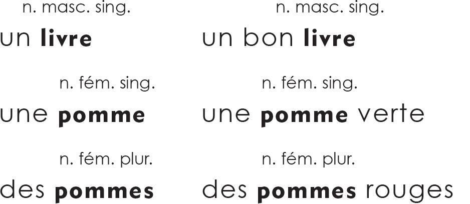 Le nom – Édition Caractère