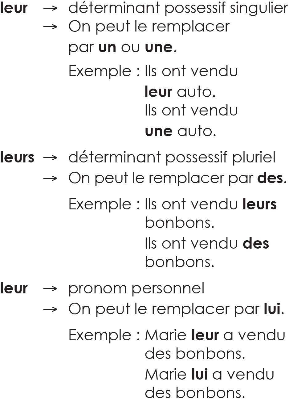 Les homophones – Édition Caractère