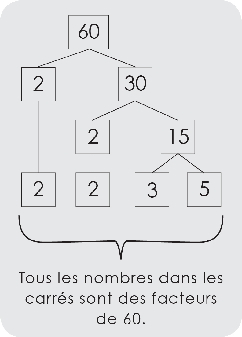 Décomposition de nombres en facteurs premiers – Édition Caractère